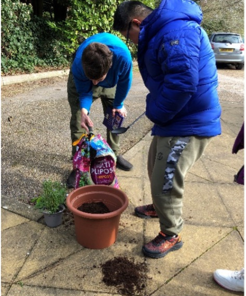 March at James’ Place Basingstoke | Adult Day Care